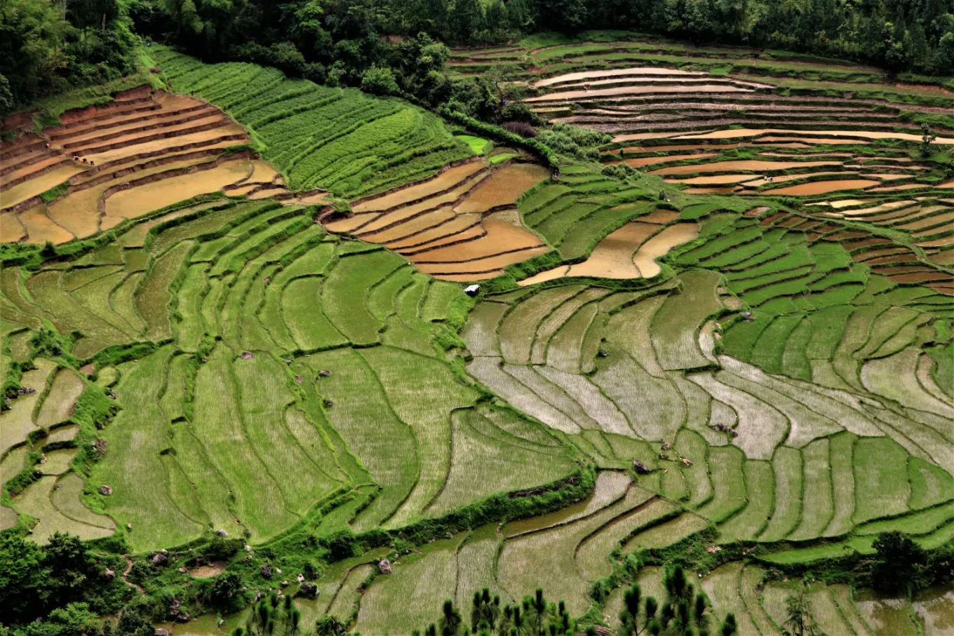 Water-food connections | WUR