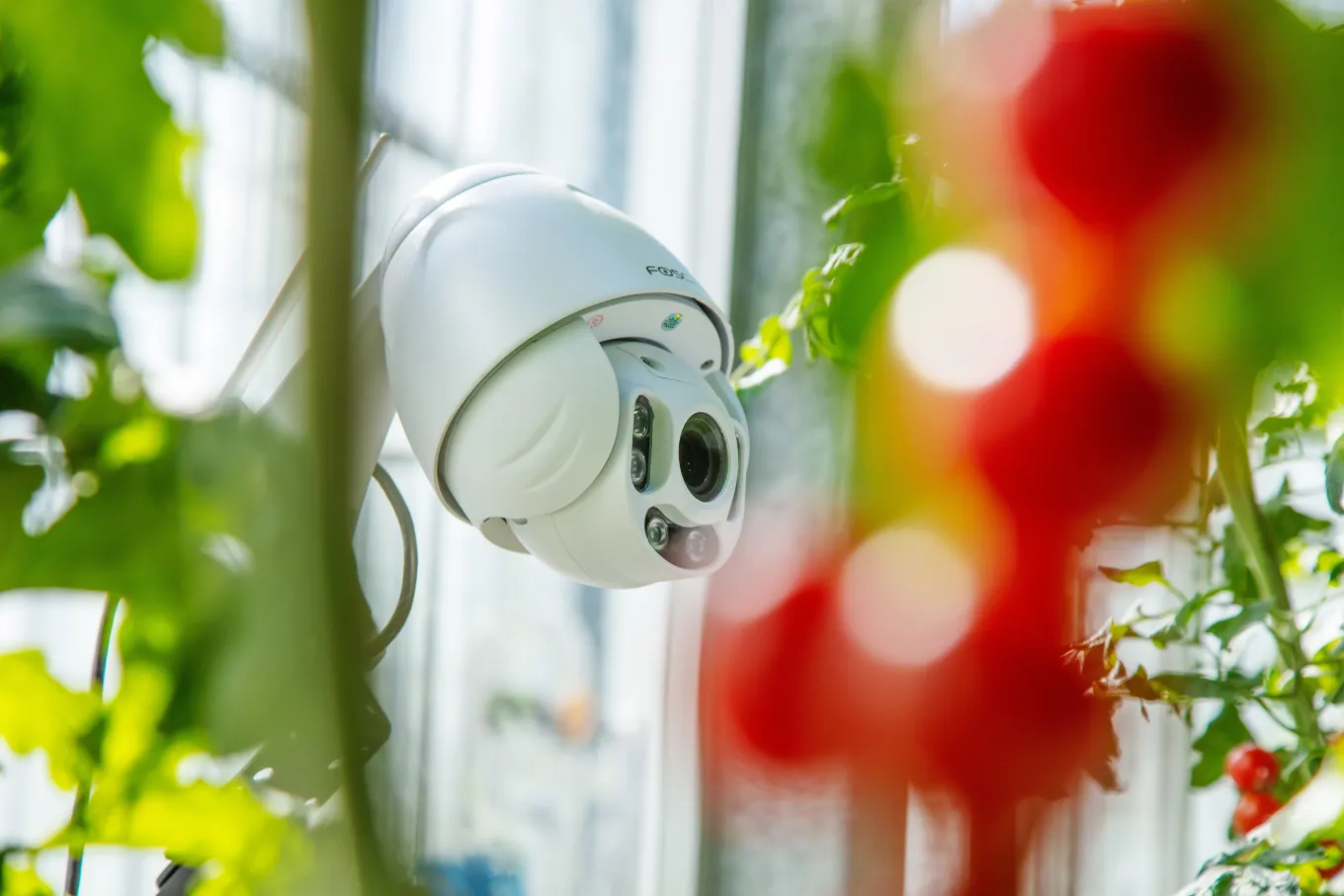 Autonomous cultivation in greenhouse horticulture | WUR