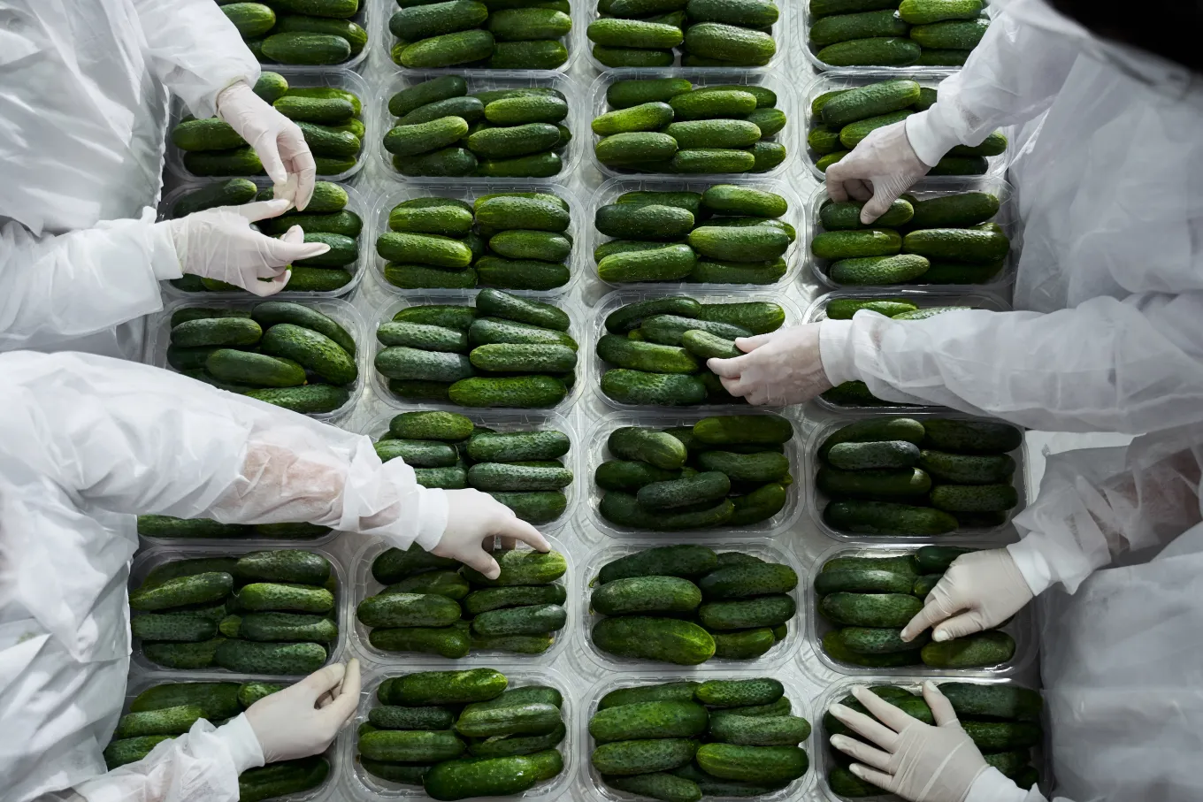 Courses for professionals in food technology | WUR