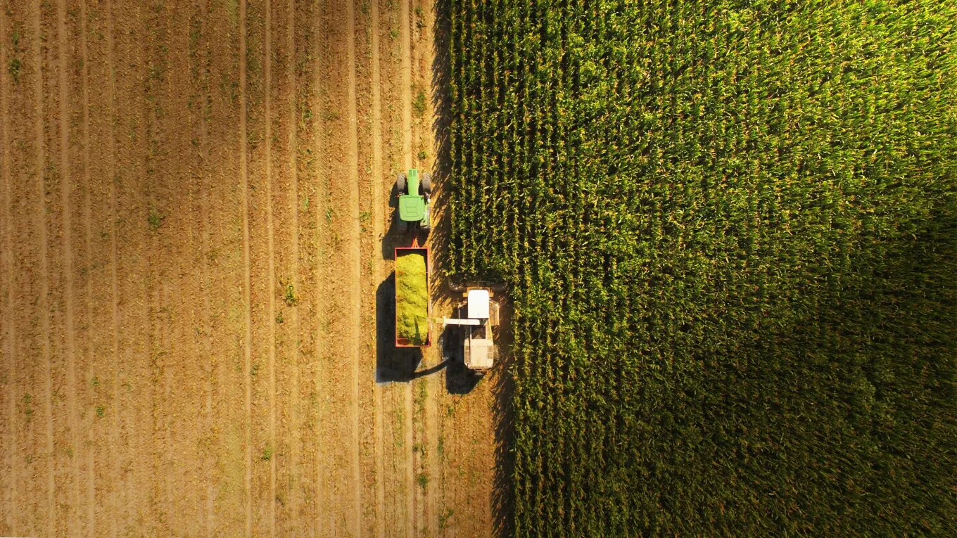 Towards a sustainable food future | WUR