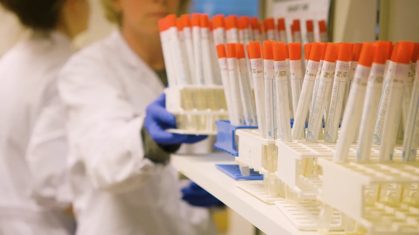 National Reference Laboratory (NRL) animal diseases | WUR