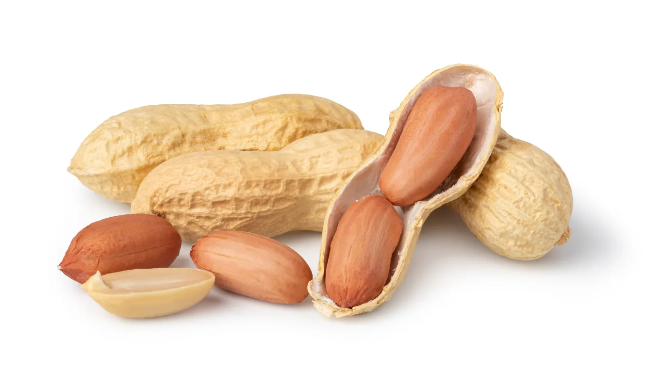 4e Food Allergens Symposium – Regulation, Management and Detection | WUR