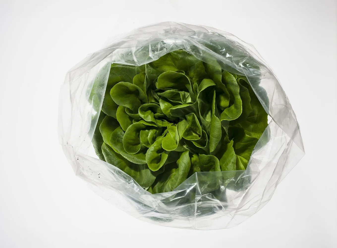 Packaging food with recycled plastic | WUR