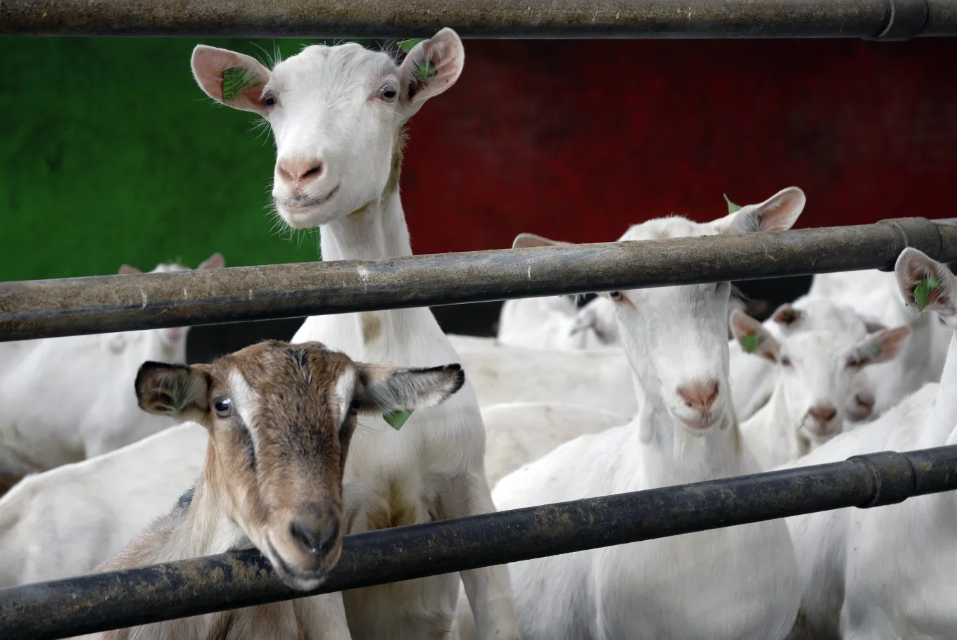 Get more from business data with the Farm Sustainability Data Network | WUR