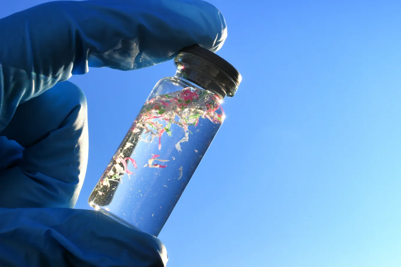 Assessment of micro and nanoplastic toxicity and their protein corona ...