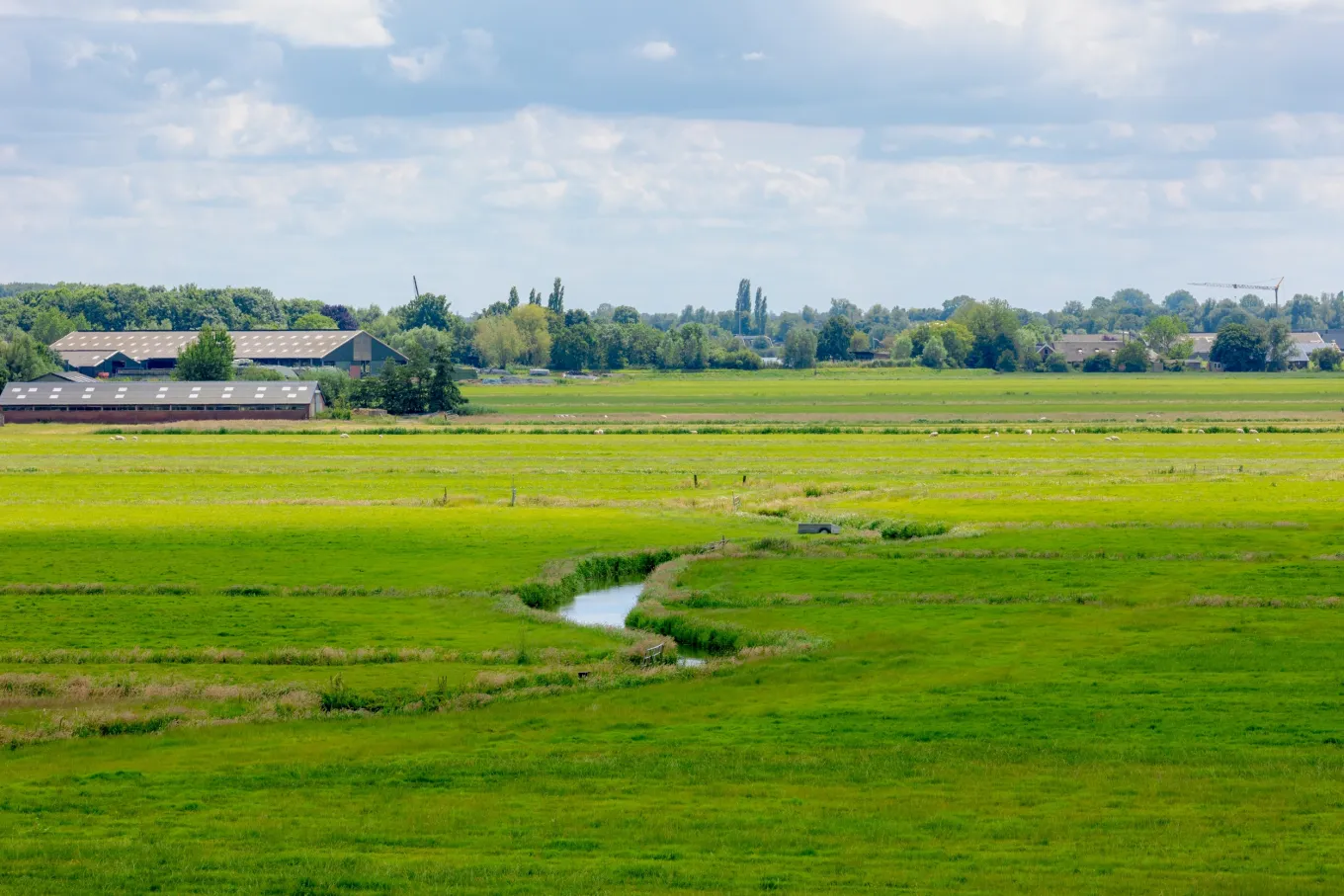 Restoring biodiversity and ecosystem services on managed grasslands | WUR