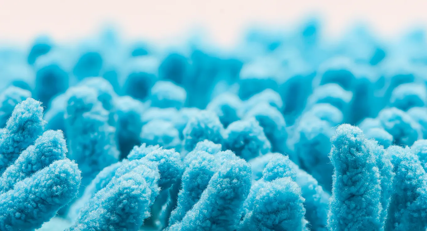 Microbiome, Lumen & Diet, Mucus & Milk | WUR
